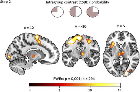 Aberrant Orbitofrontal Cortex Reactivity To Erotic Cues In Compulsive Sexual Behavior Disorder