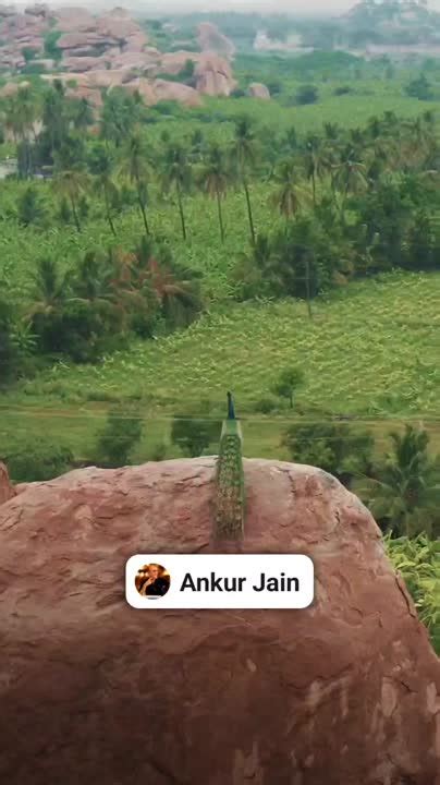 Ankur Jain On Linkedin Success Power Career Life Innovation