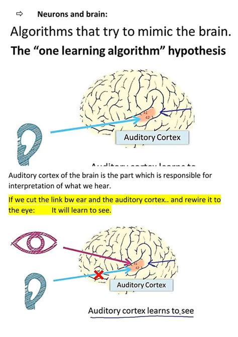 8 Neural Network Representation Pdf