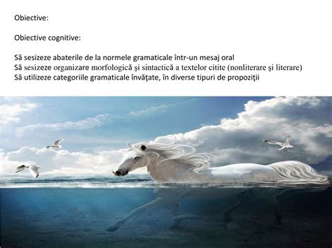 Ppt Modul Conditional Optativ Clasa A Vi A Powerpoint Presentation