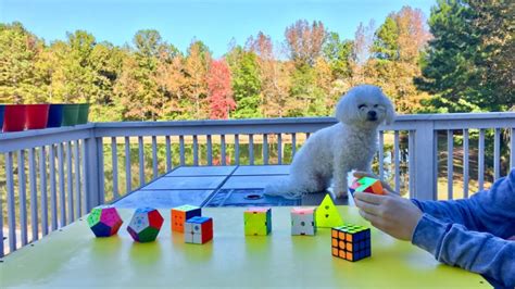 How To Solve A Pyraminx Beginner Intermediate Methods Kevin Gittemeier