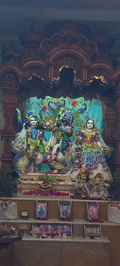 Cs Mohit Dubey On Linkedin Living Gratitude Embracing A Specific Fresh And Krishna Centric…