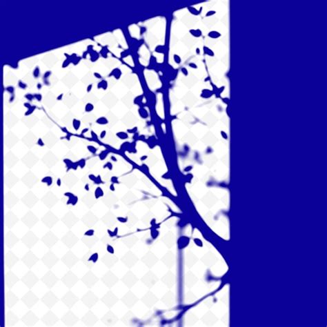 Twisted Branch Shadows Forming Irregular Angular Shapes Sharp C Png Shadow Cast Illustrationsr