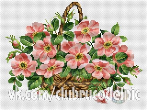 ЦВЕТЫ РОЗЫ ШИПОВНИК Фотография 47 из 453 ВКонтакте