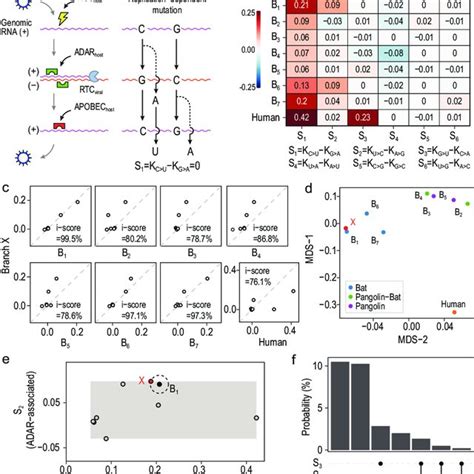 Host Signatures Inferred From The Viral Mutation Spectrum A A Download Scientific Diagram
