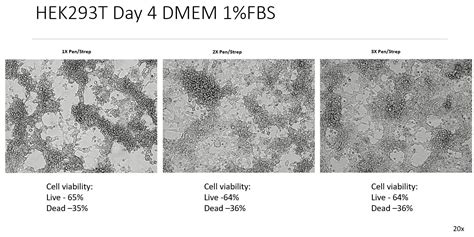 Cell Culture Isolation Control Experiment