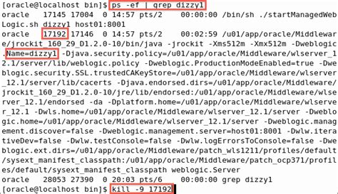Oracle Weblogic Server 12c Installing And Configuring A Cluster Proxy