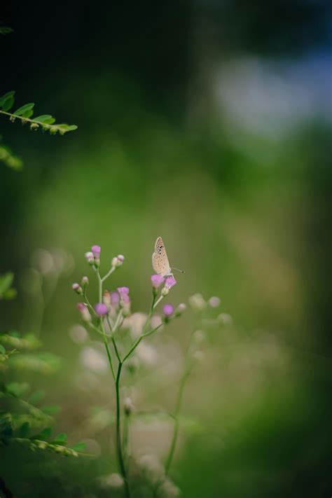 arjun aravind photography