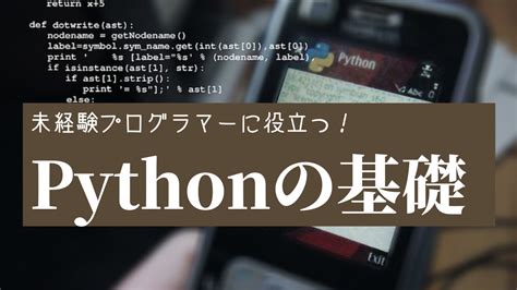 Pythonの基礎未経験プログラマーが転職に役立つ基礎知識解説 障害者のキャリアサロン