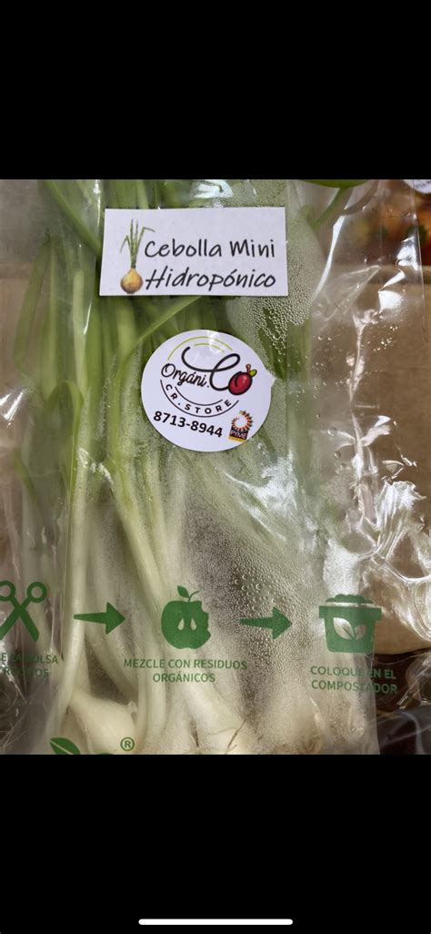 Cebolla Mini Hidroponica Orgá