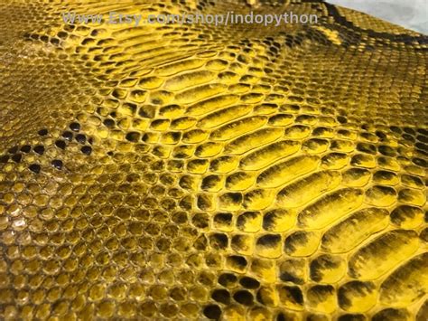 Buy High Quality Yellow Python Leather Indopython