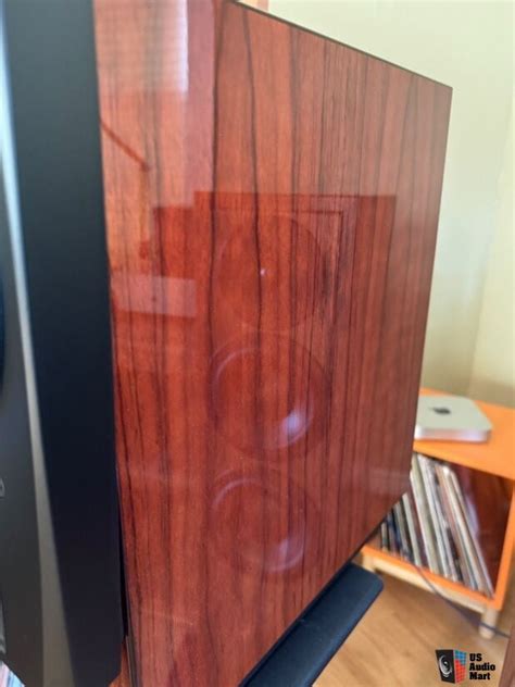 Dynaudio C1 Platinum Photo 5415373 Us Audio Mart