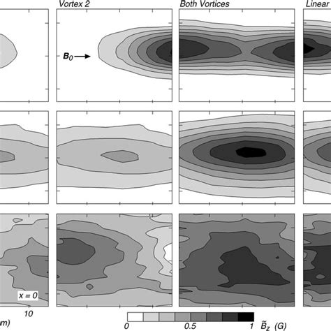 Vortex Collision With Opposing Poloidal Field Components B Z And