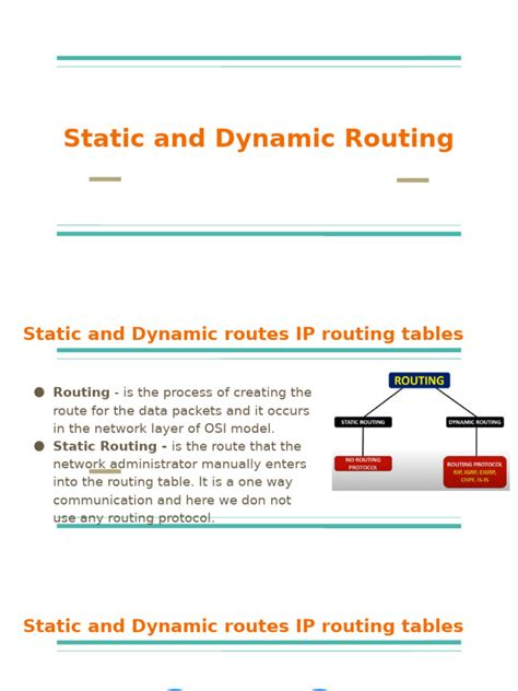 static and dynamic routing pdf