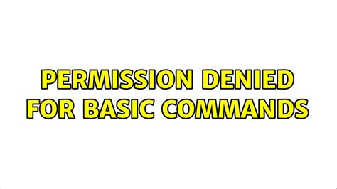 Permission Denied For Basic Commands Youtube