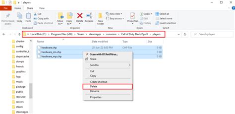 Fix CoD Black Ops 2 Unhandled Exception Caught Error TechCult