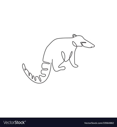Single One Line Drawing Beautiful Coati Royalty Free Vector