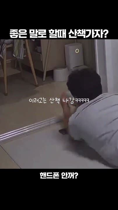 좋은 말로 할때 산책가자 Shorts Youtube