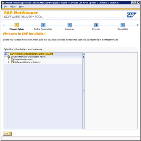 SAP Solman Basisdomain