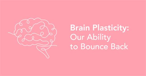 Brain Plasticity Our Ability To Bounce Back Mental Health Hotline