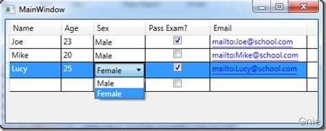 WPF DataGrid 控件基本功能篇 Gnie 博客园