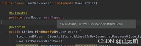 解决mapper无法自动装配未找到‘usermapper‘类型的bean报错问题java脚本之家