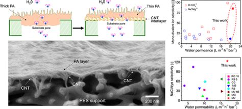 New Insights Into The Role Of An Interlayer For The Fabrication Of Highly Selective And