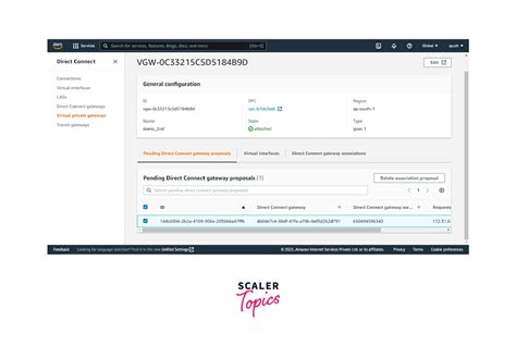 AWS Virtual Private Gateway Scaler Topics