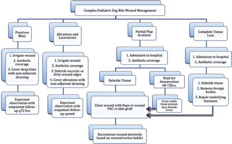 What Is A Level 4 Dog Bite