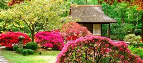 Японские удобрения Fujima Настоящая Япония СПКубани Совместные покупки Краснодар Анапа