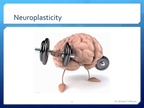 Neuroscience08neuroplasticityppt
