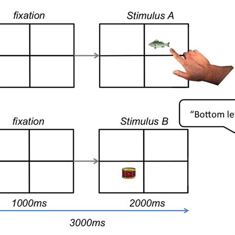 example of both types of stimulus response pairs in the encoding phase
