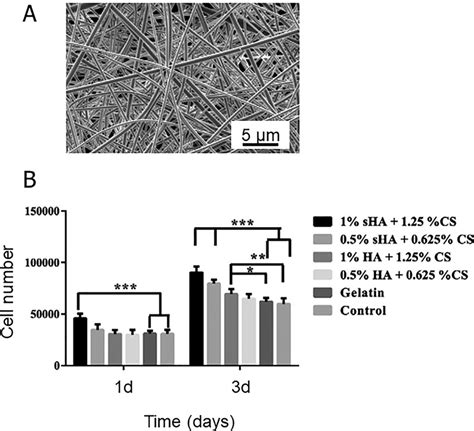 Scanning Electron Microcopy Image Of Nanofibrous Electrospun