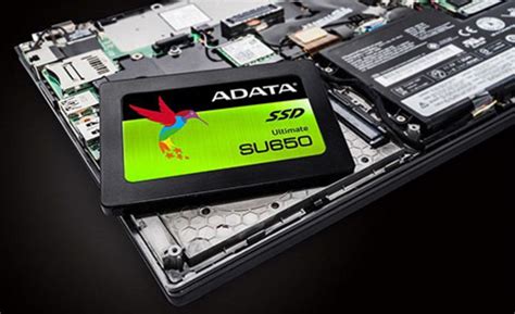 SSD ADATA SU GB SATA