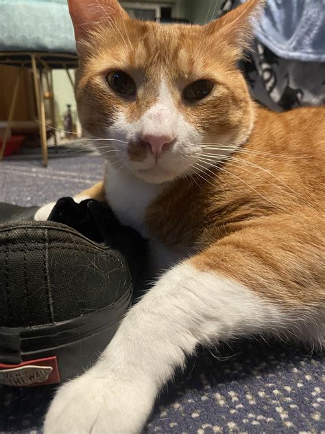 Fucking Bots Went After My Rusty Man This Is My Fucking Rusty Rgingermafia