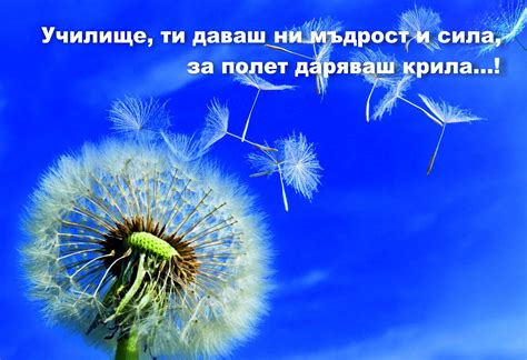 Приятели на СУ Цанко Церковски гр Полски Тръмбеш