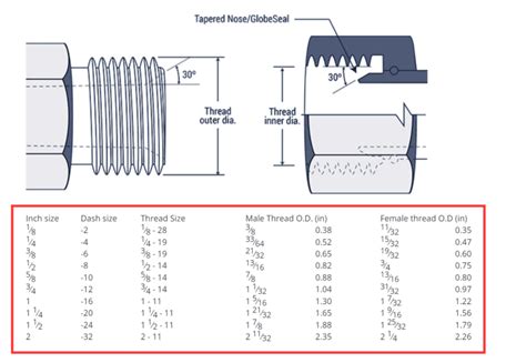 Bspp Vs Bspt Vs R Vs Rc Thread Difference Hydraxio China Ss Hydraulic Fittings Manufacturer