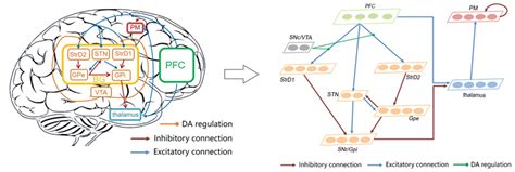 Lec 10 Multi Brain Areas Coordinated Brain Inspired Decision Making