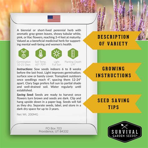 Clary Sage Aromatic Medicinal Herb Seeds Survivalgardenseeds