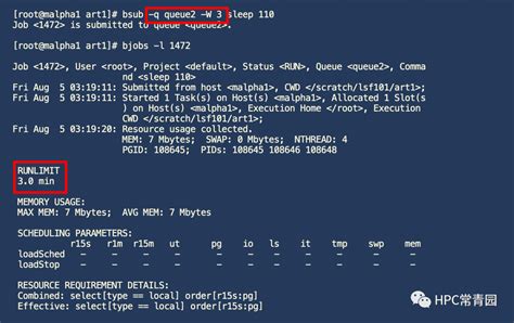 Lsf实践专题（21）：lsf应用（application）的概念和使用runlimit Lsf Csdn博客