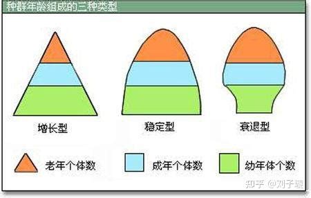 人口年龄结构的简单数学建模 知乎