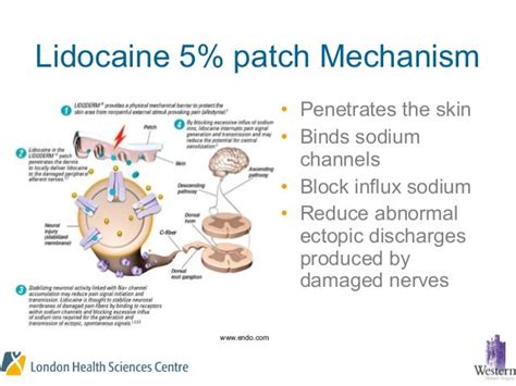 Rib Fracture By Dr Saleh Bakar