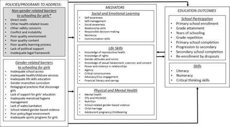 Conceptual Framework Linking Barriers To Babe For Girls To Outcomes Download Scientific Diagram