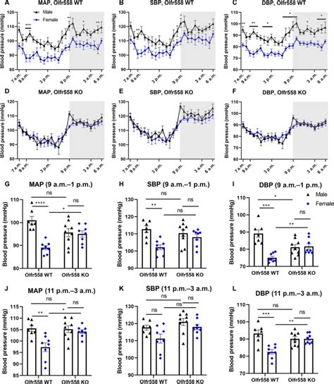 An Evolutionarily Conserved Olfactory Receptor Is Required For Sex