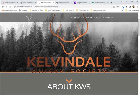 css image doesn t resize based on the container it s in what am i