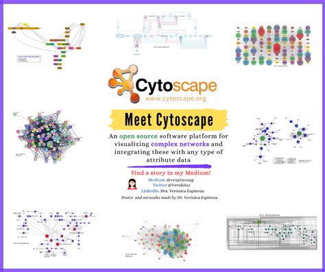 Learn How To Make A Network In Gephi Lite And Add Images To The Nodes