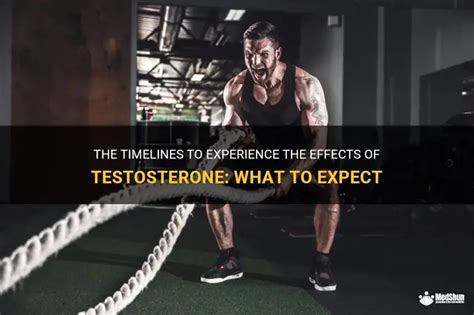 The Timelines To Experience The Effects Of Testosterone What To Expect Medshun