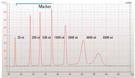 Quantifying Dna Here Are Five Dna Quantification Methods To Consider