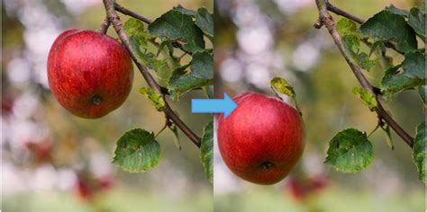 Dragondiffusion Enabling Drag Style Manipulation On Diffusion Models