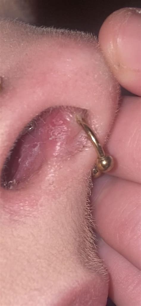 Whats Wrong With My Septum Piercing Rpiercing